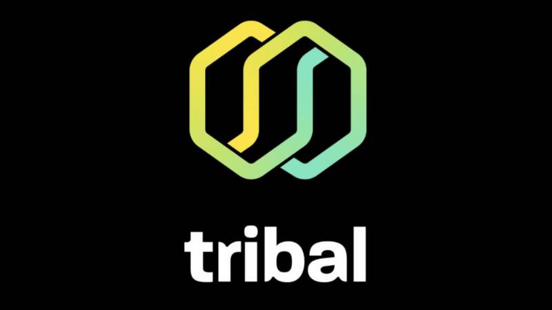 SoftBank investit 60M$ dans le duo TradFi et DeFi de Tribal - Coins.fr