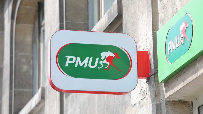 NFT : PMU tease son jeu « Stables » et ouvre une whitelist - Coins.fr